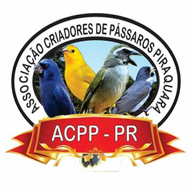 CENTRAL TORNEIOS | Home